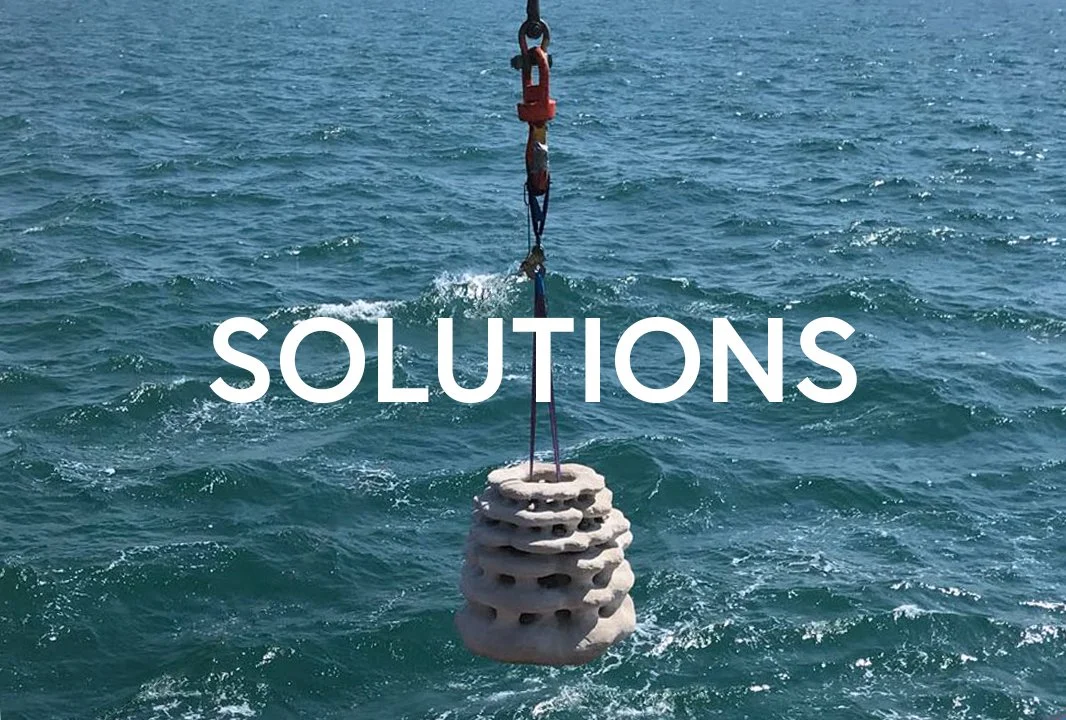 REEF DESIGN LAB | Artificial Reefs & Marine Infrastructure Solutions