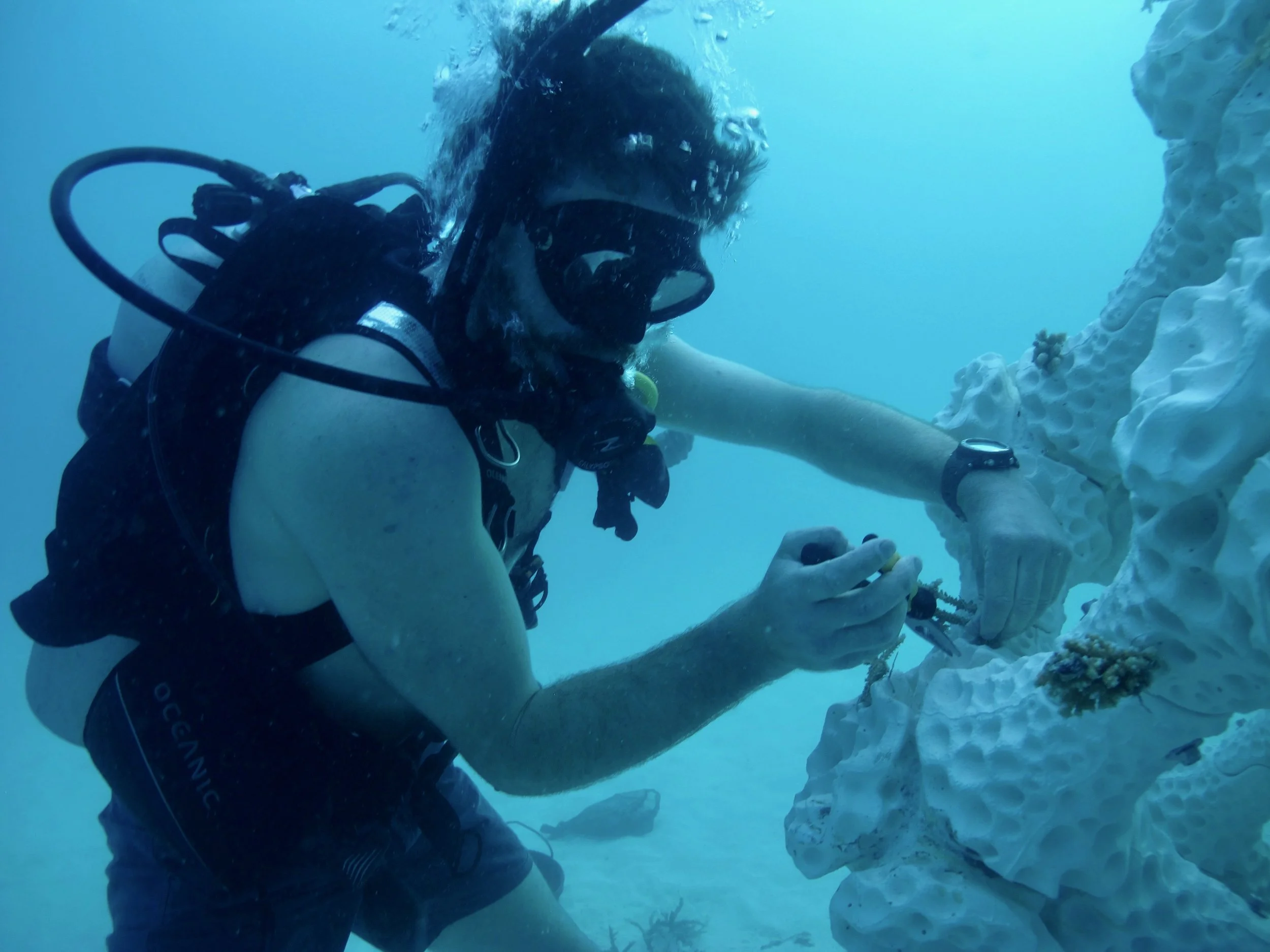 SERVICES | REEF DESIGN LAB