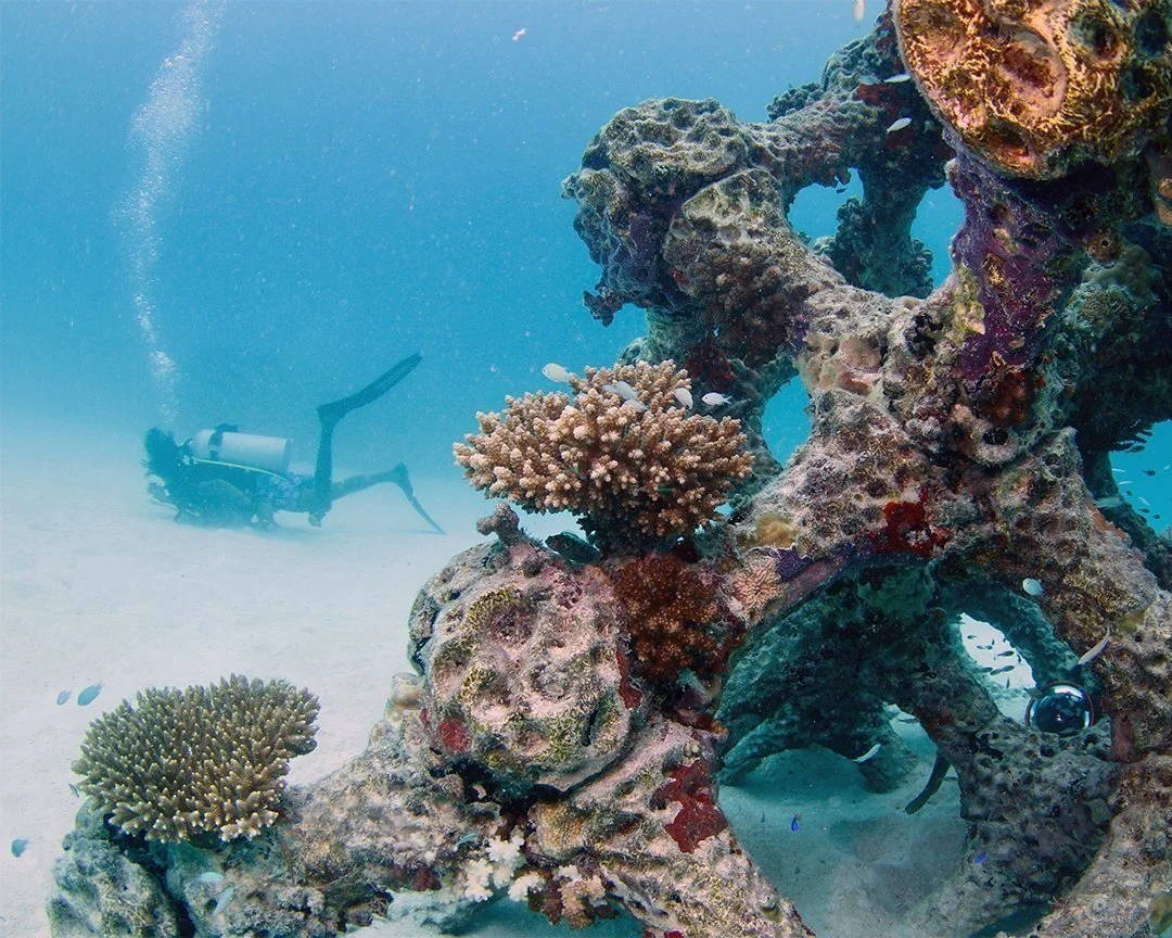 Marine Environment Substrate Research — REEF DESIGN LAB