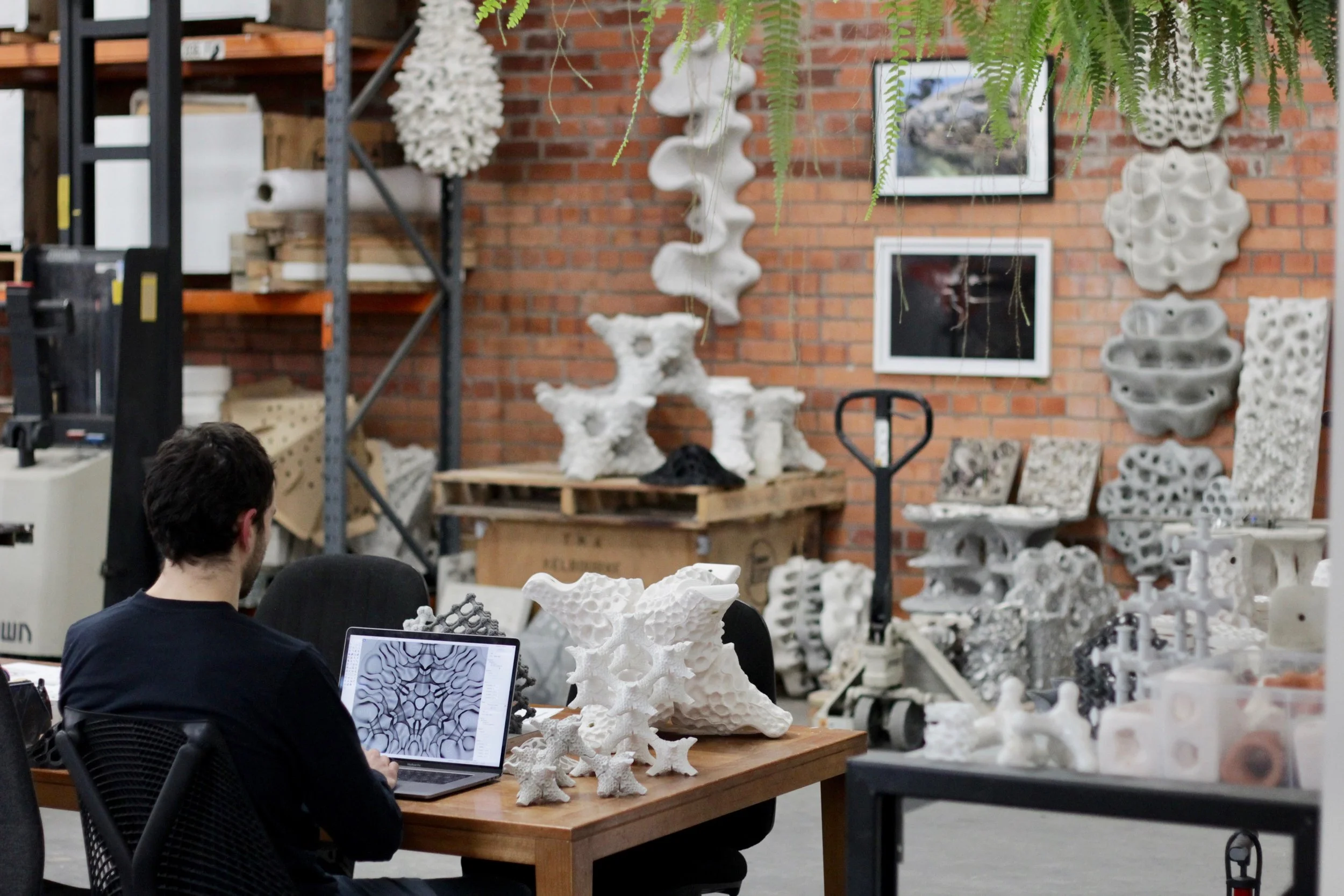 SERVICES | REEF DESIGN LAB