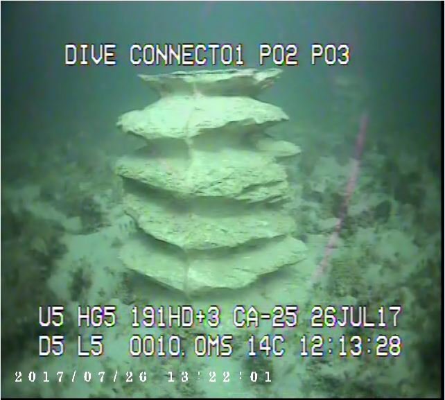 Artificial Reef Units for Fish Habitat | REEF DESIGN LAB