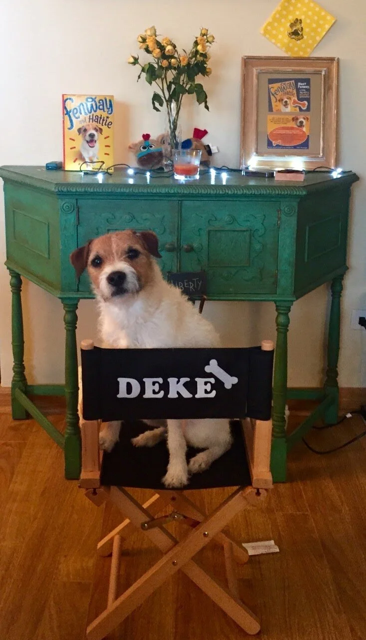 Fenway and Hattie in the Wild - A Very WILD Virtual Launch! — The Home ...