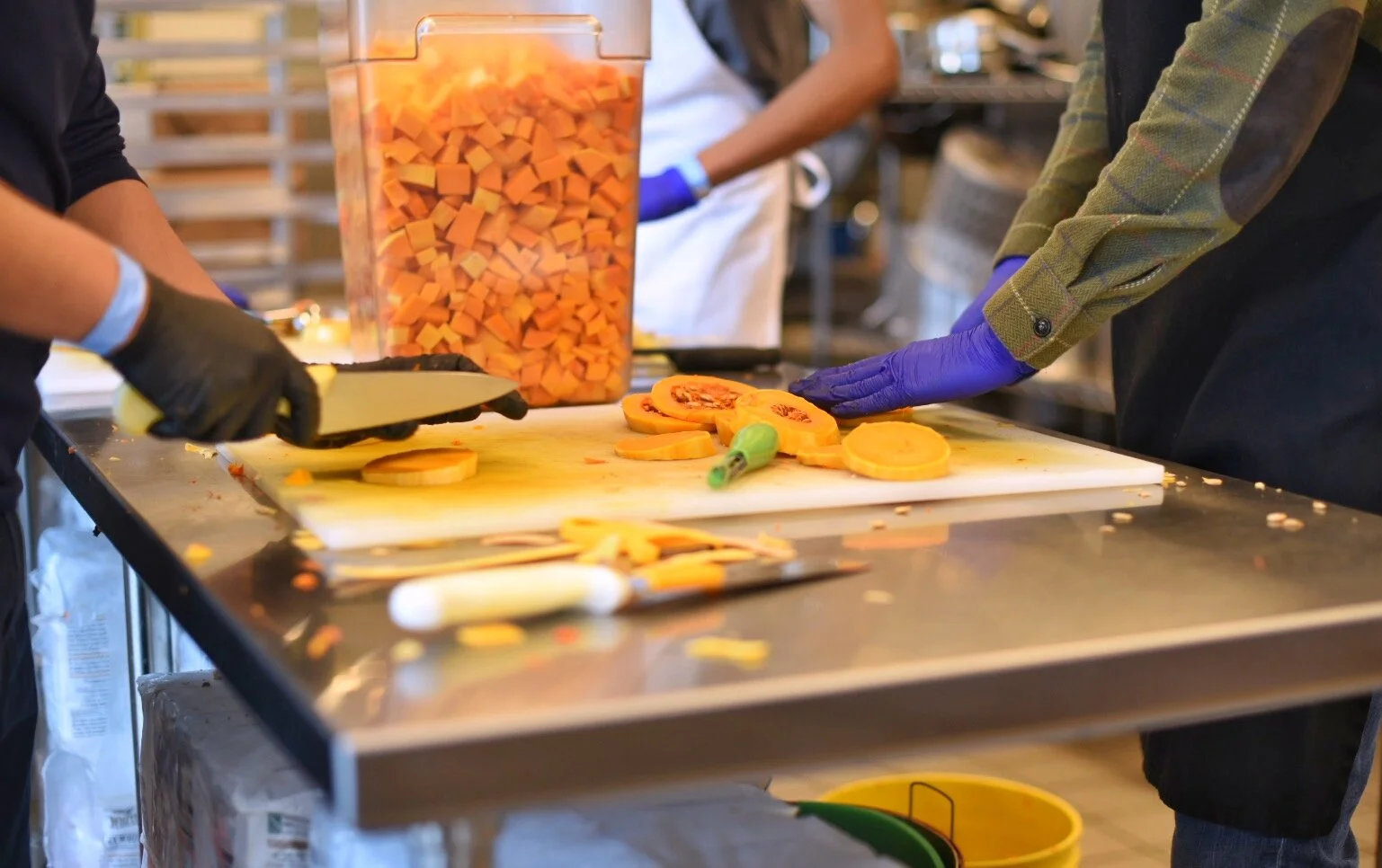 Our Work: Program Overview — Nashville Food Project