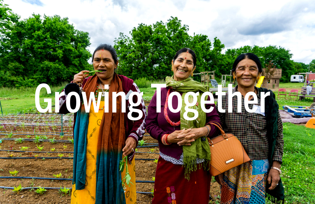 Our Work: Program Overview — Nashville Food Project