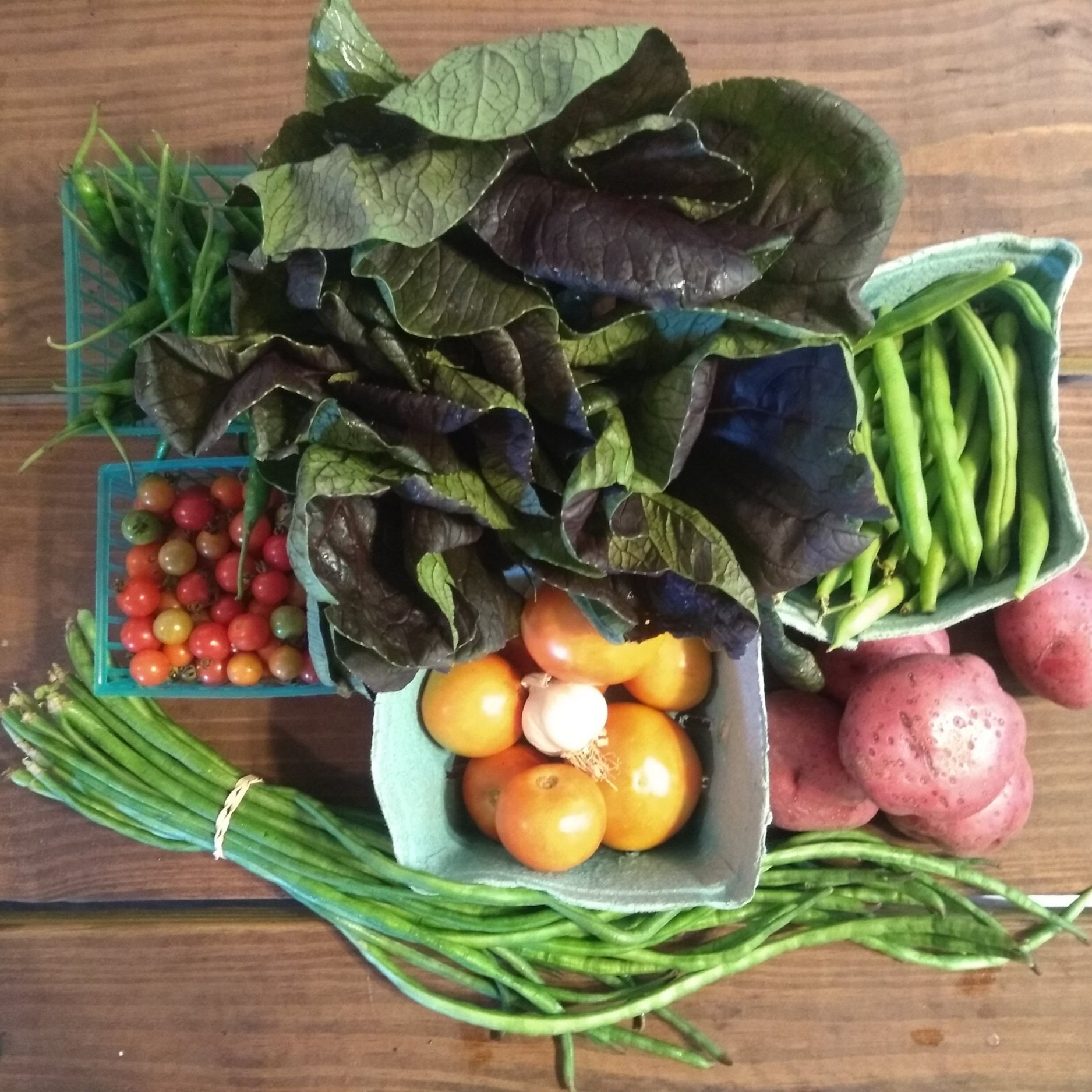 Veggie Box Subscription — Nashville Food Project