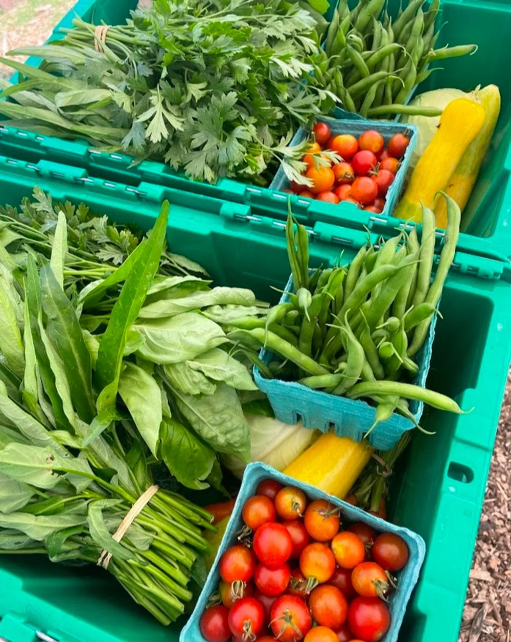 Veggie Box Subscription — Nashville Food Project