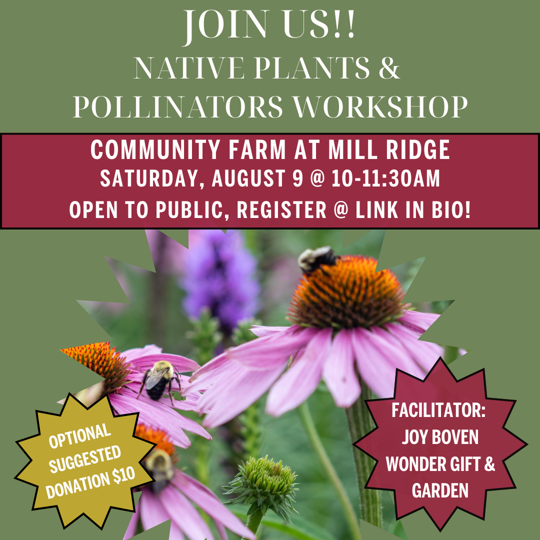 Native Plant and Pollinator Workshop | The Nashville Food Project