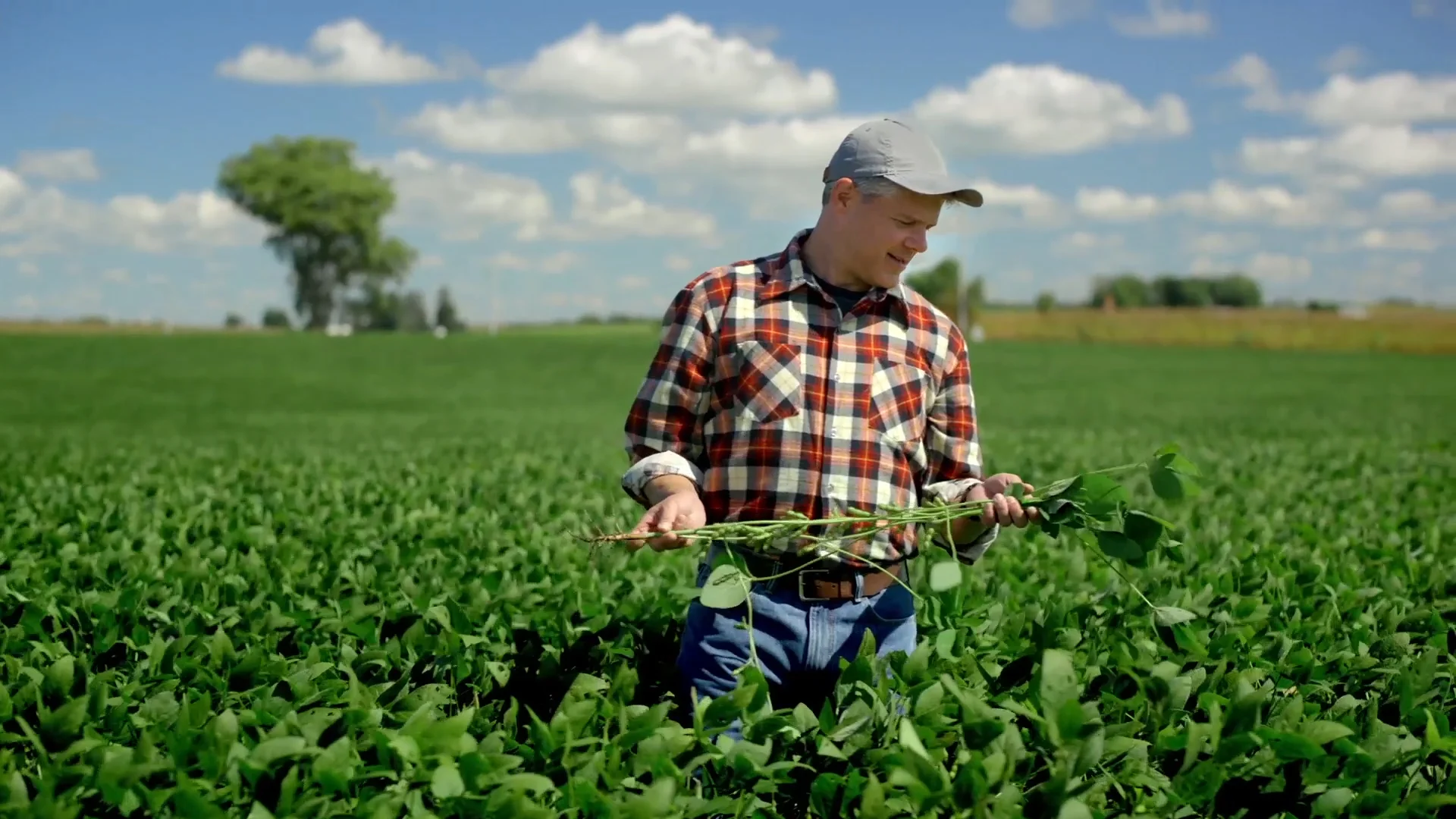 One Less Worry — Eric De Fino