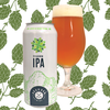Dragoon IPA — Dragoon Brewing co.