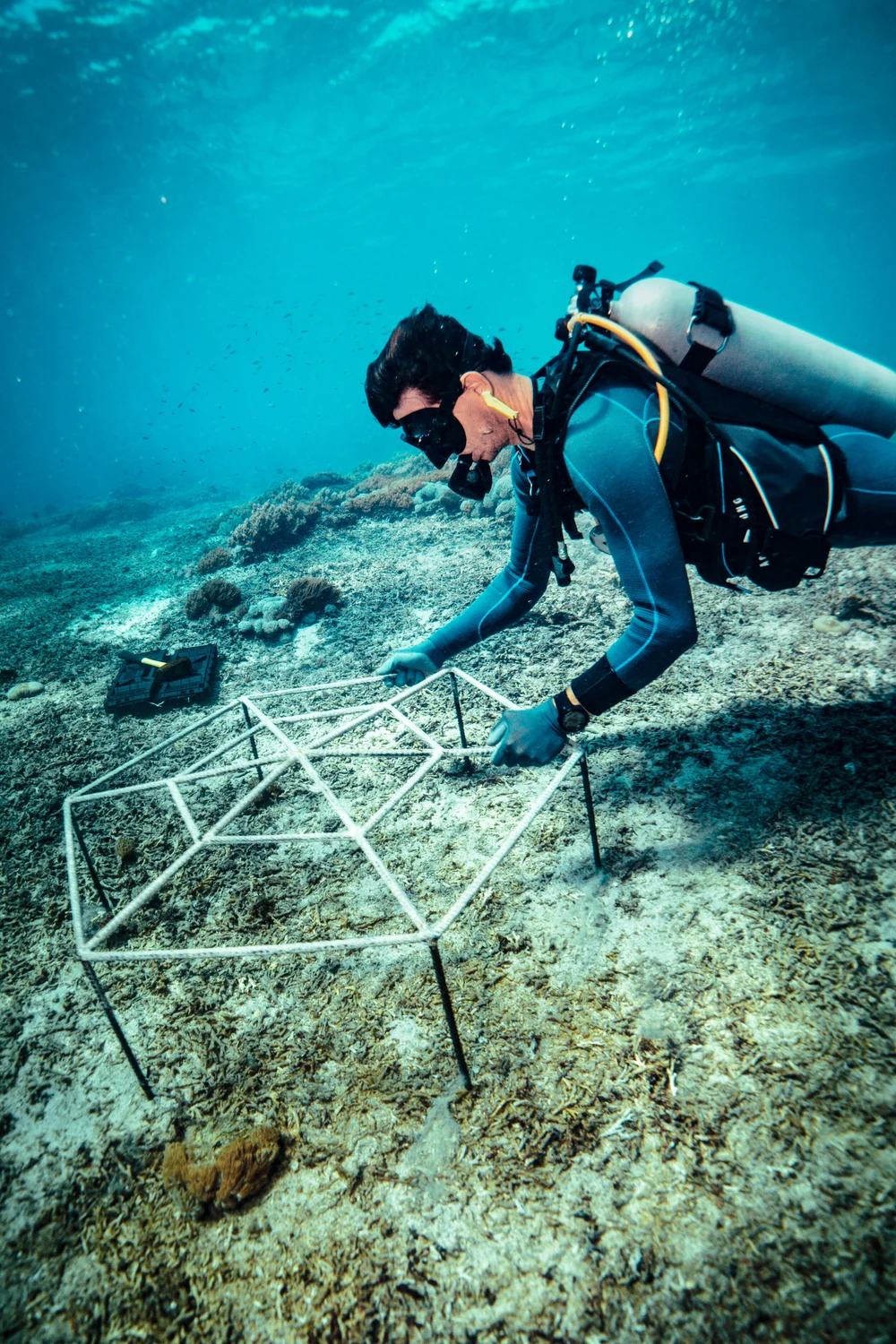 Coral Restoration Workshop | Blue Corner Marine Conservation | Bali