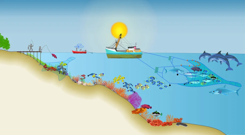 Sustainable Fisheries