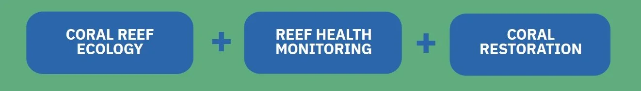 Coral Reef Conservation Internship