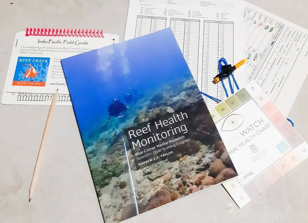 Coral Reef Conservation Internship