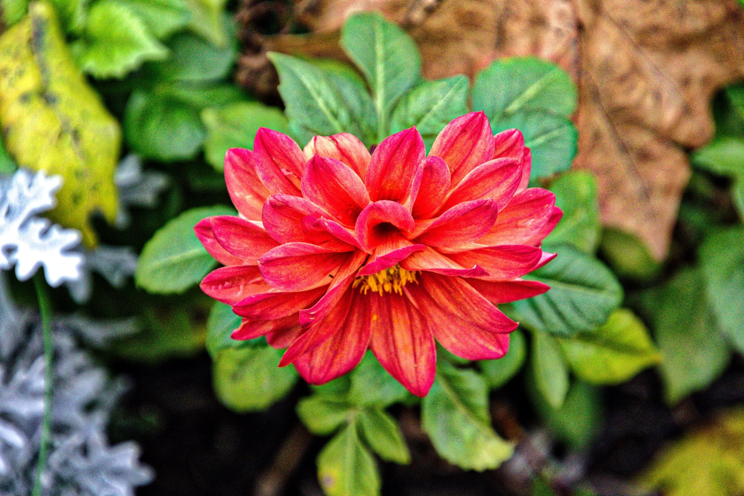 Emeriti Park at Ohio University — In My Backyard