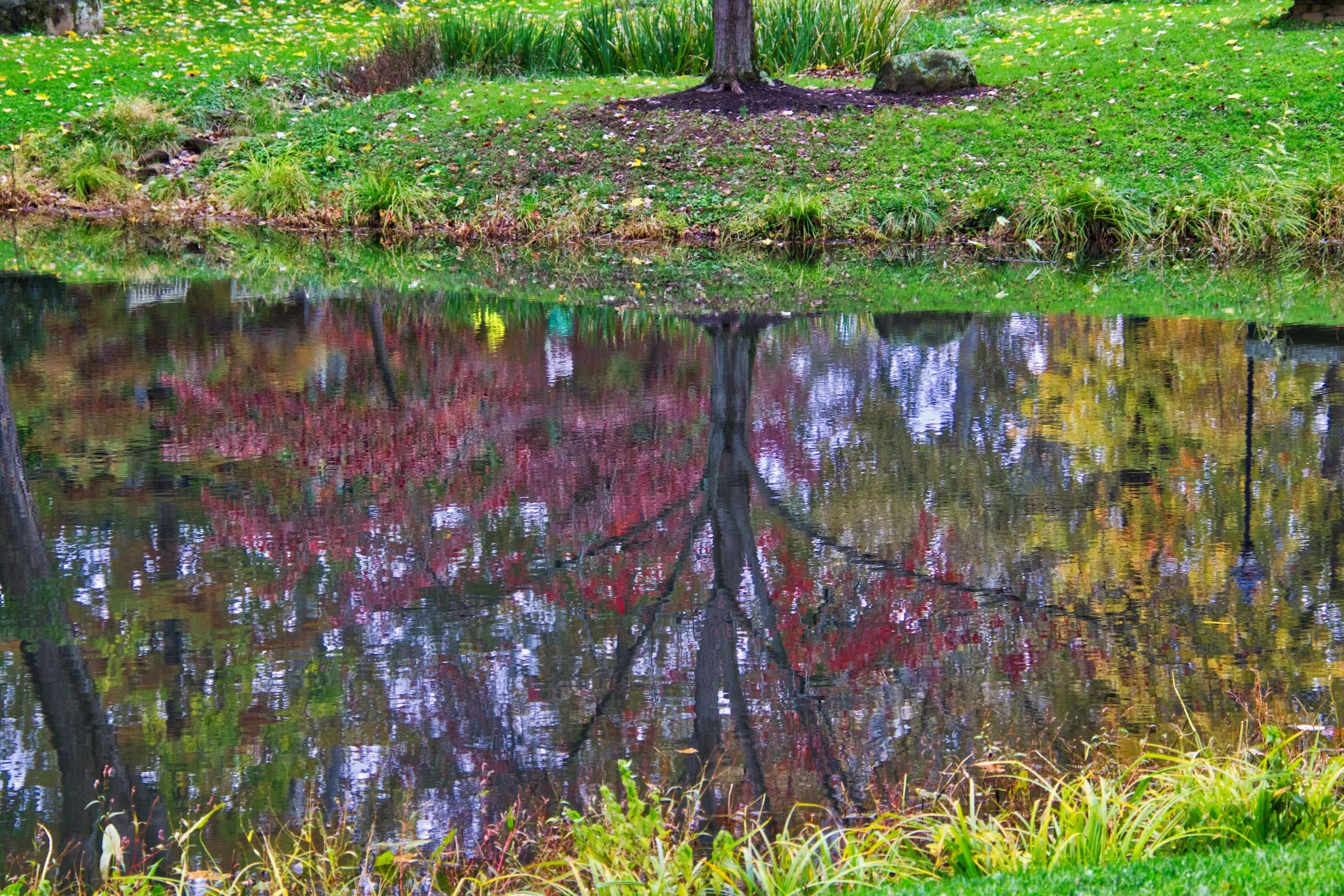 Emeriti Park at Ohio University — In My Backyard