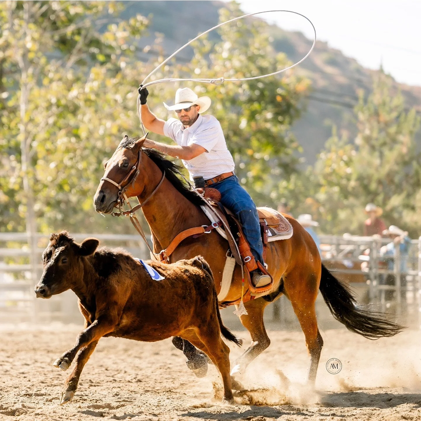 Couples and Horse Photoshoot Inspiration — Ashleigh Magnus