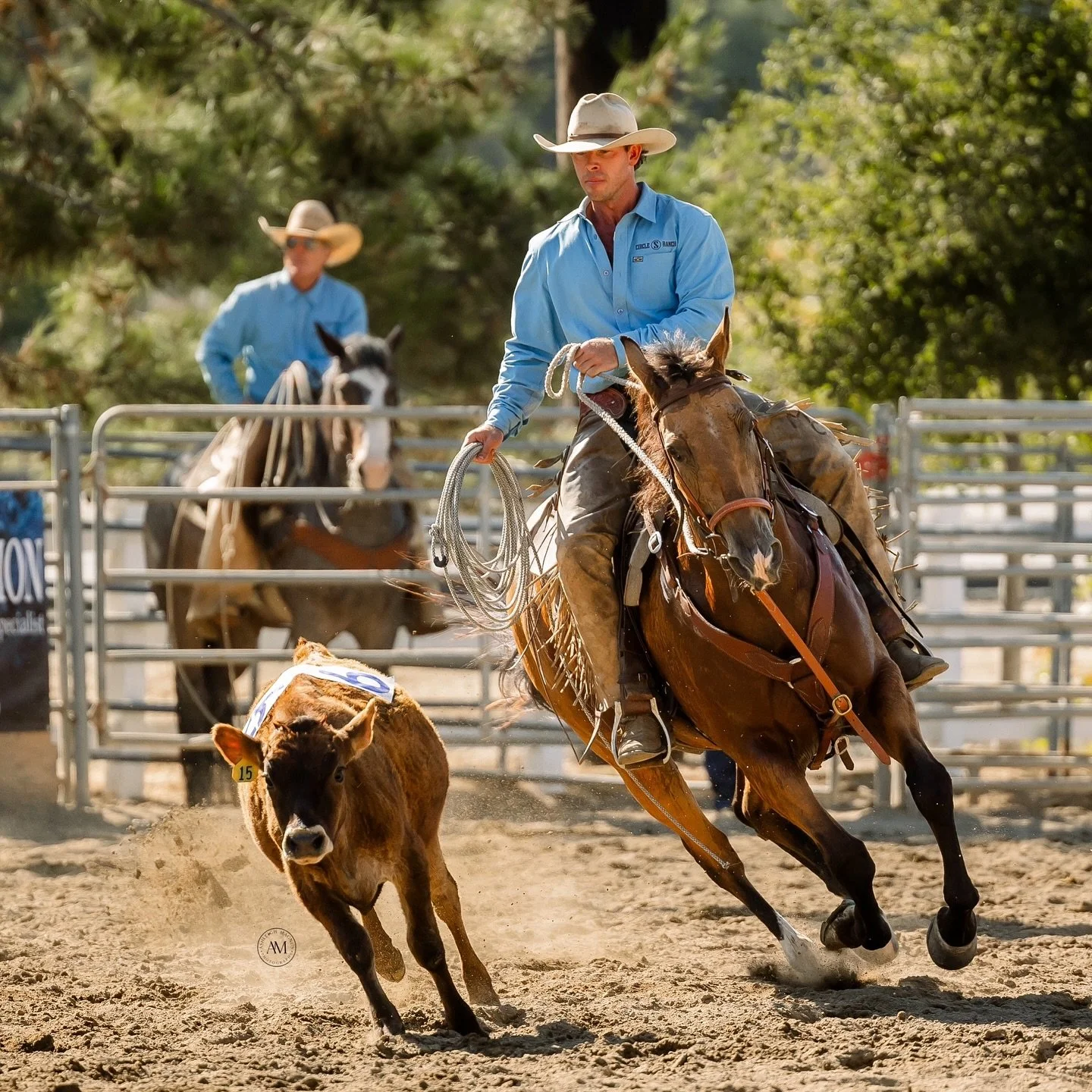 Couples and Horse Photoshoot Inspiration — Ashleigh Magnus