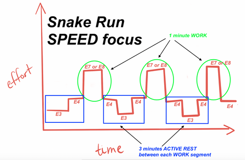 Treadmill Workouts | Sifuentes Coaching