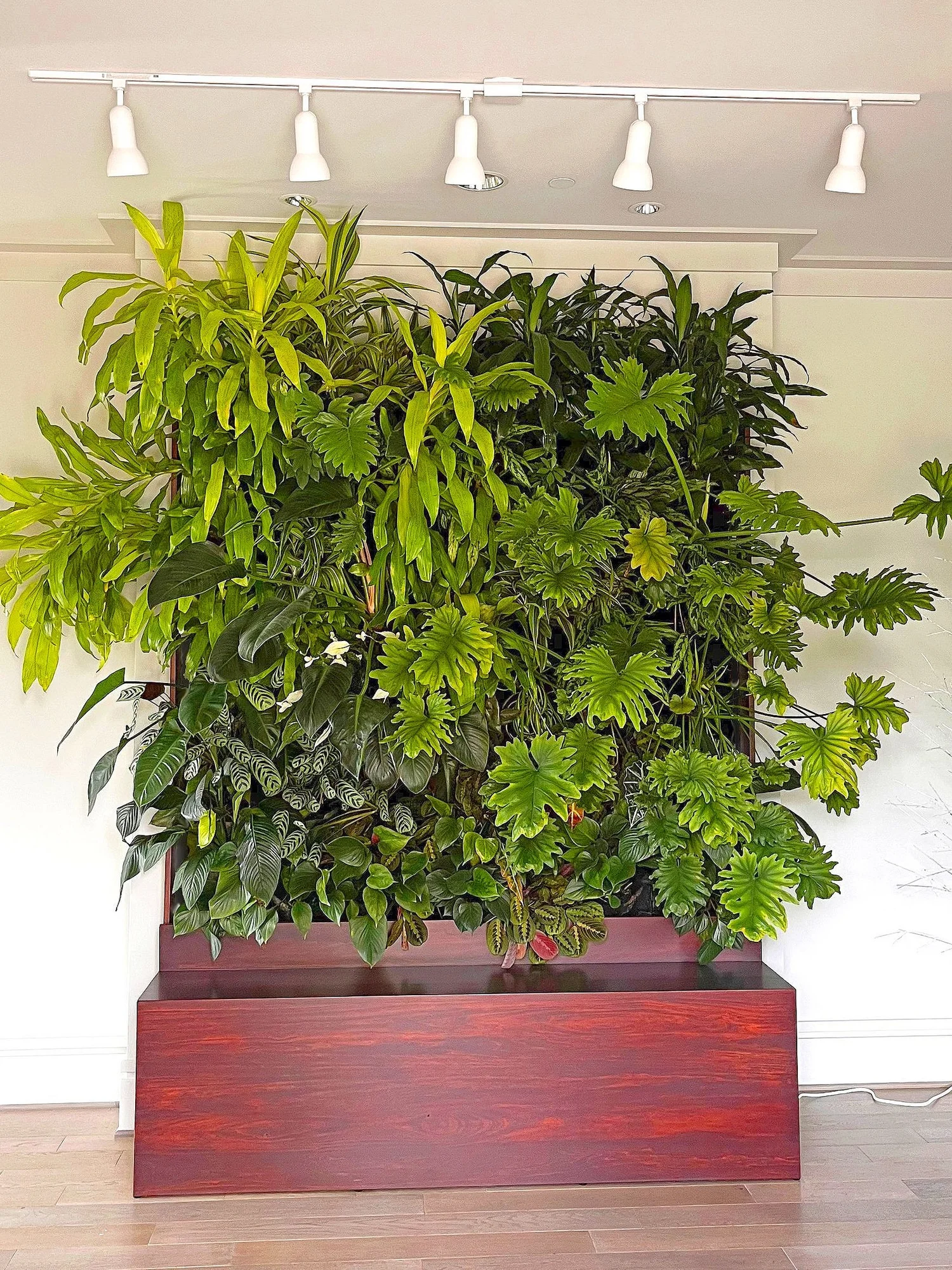 Design Ideas — Florafelt Living Wall Systems