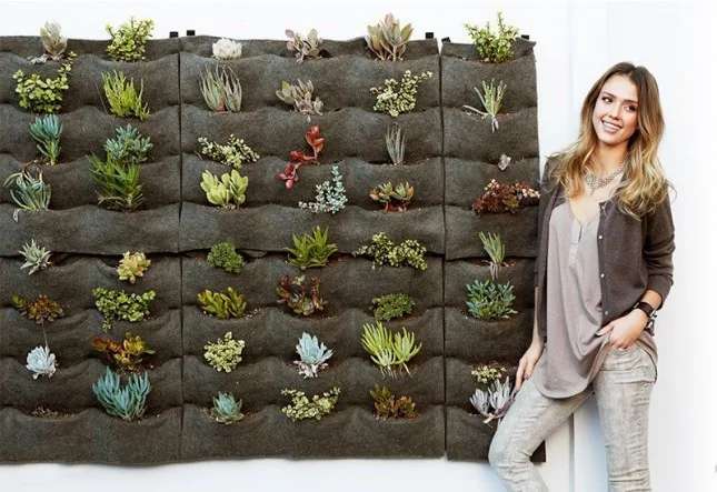 Jessica Alba's Eco-Friendly Vertical Garden — Florafelt Living Wall Systems