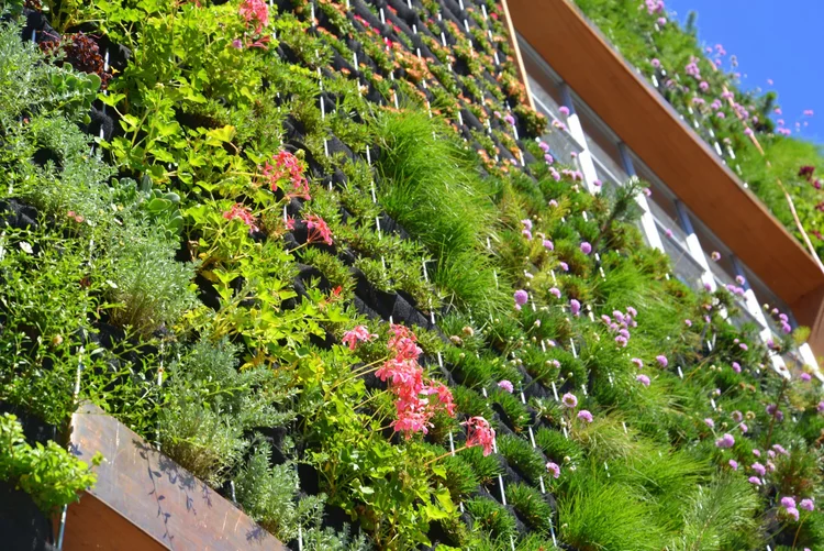 Living Facade Vertical Garden — Florafelt Living Wall Systems