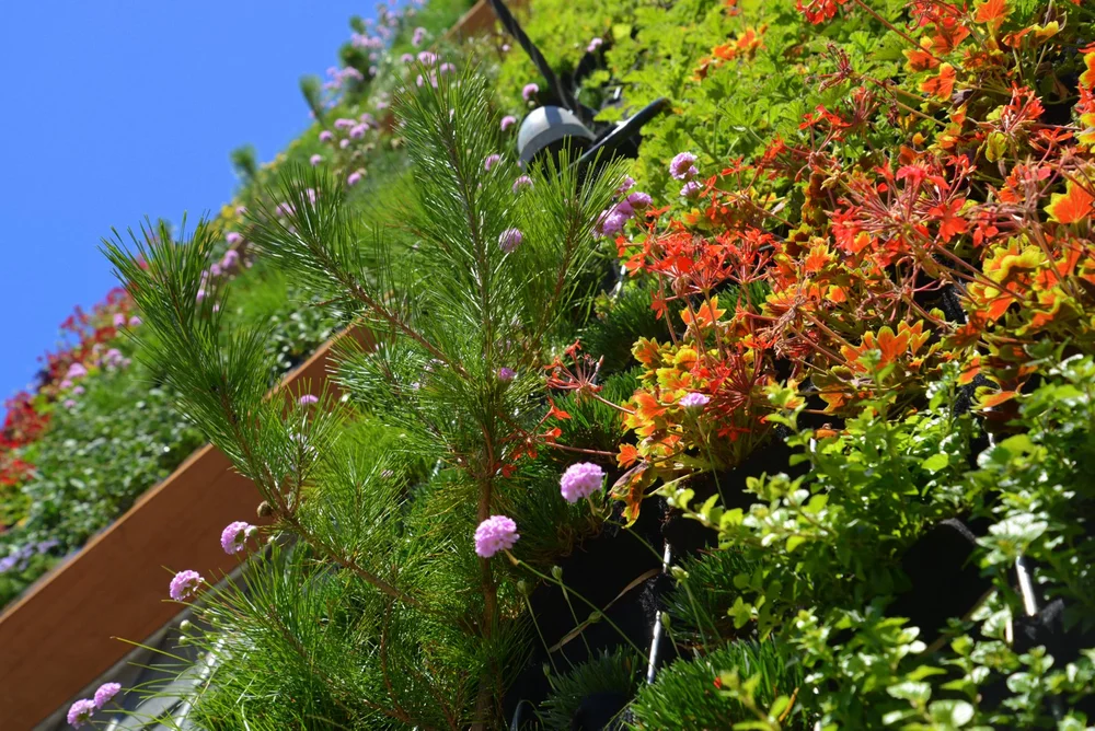 Living Facade Vertical Garden — Florafelt Living Wall Systems