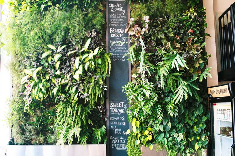Design Ideas — Florafelt Living Wall Systems