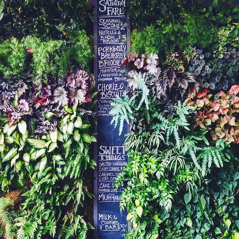 Design Ideas — Florafelt Living Wall Systems