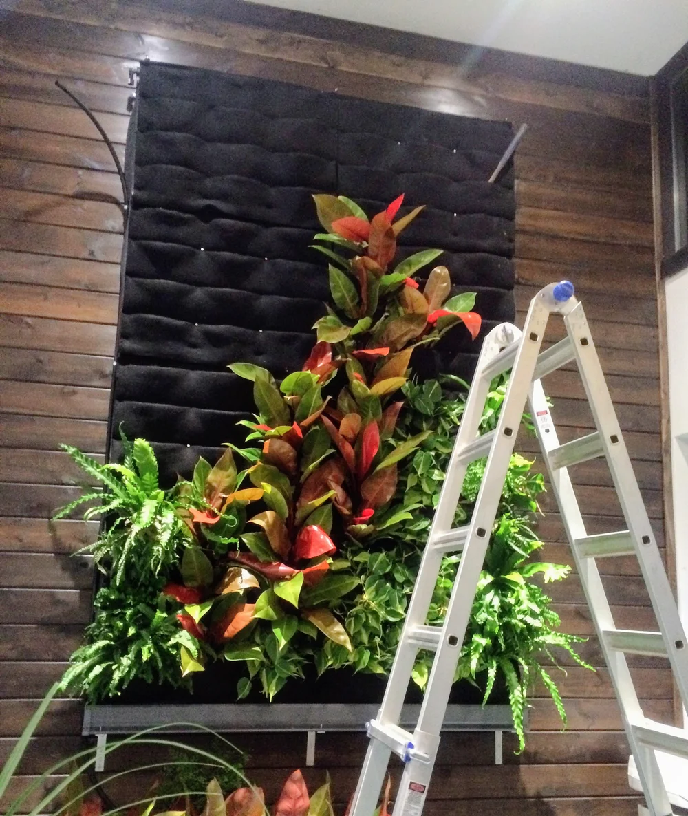 A Tropical Reception — Florafelt Living Wall Systems