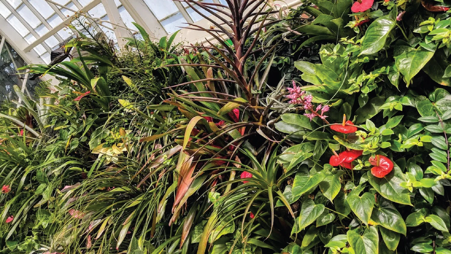 Florafelt Pockets — Florafelt Living Wall Systems