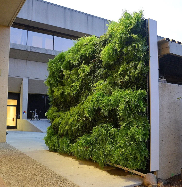 Florafelt Pro Living Wall System Unit — Florafelt Living Wall Systems