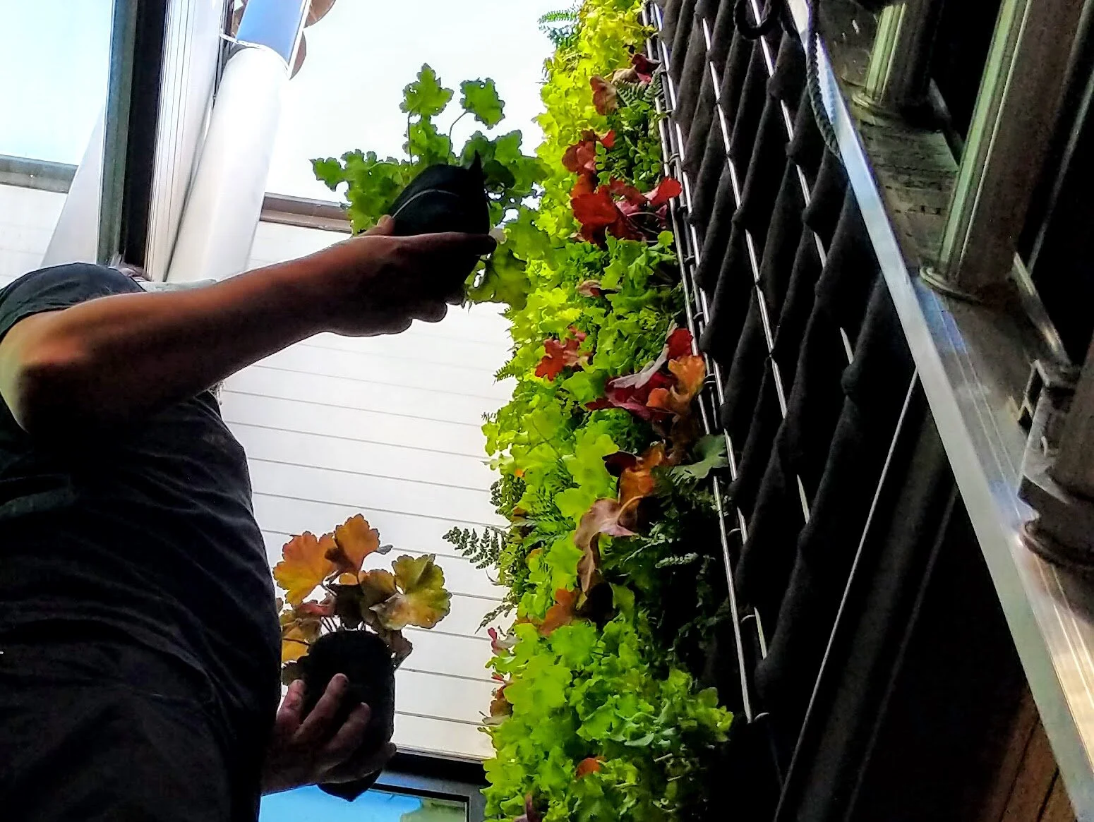 Florafelt Pro Living Wall System Unit — Florafelt Living Wall Systems