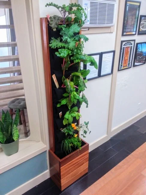 Florafelt Living Wall Guide — Florafelt Living Wall Systems