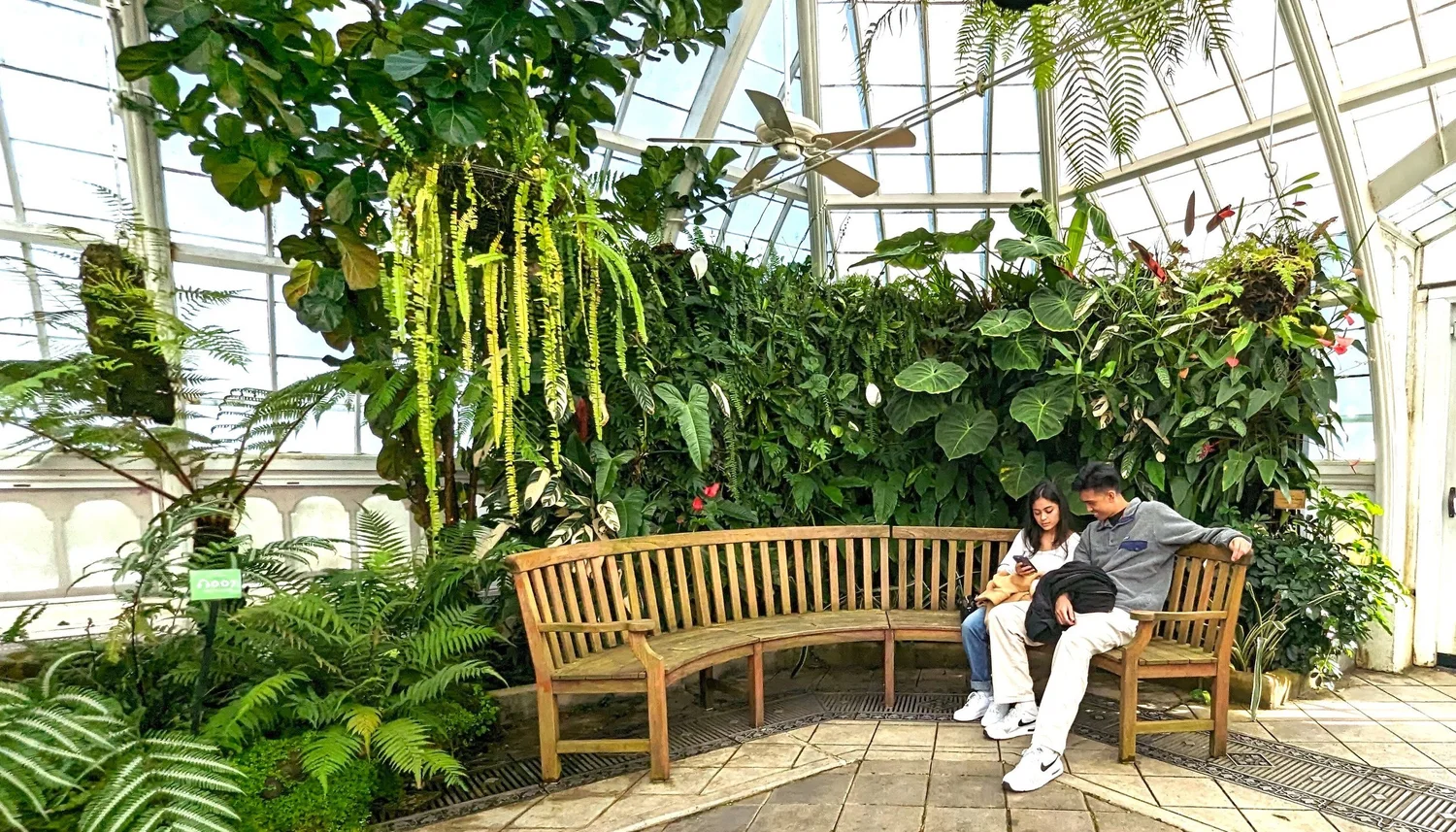Florafelt Living Wall Systems