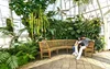 Florafelt Living Wall Systems