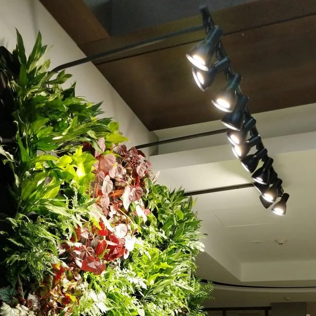 Florafelt Living Wall Systems