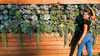Succulent Masterpiece by Angelica Cook — Florafelt Living Wall Systems