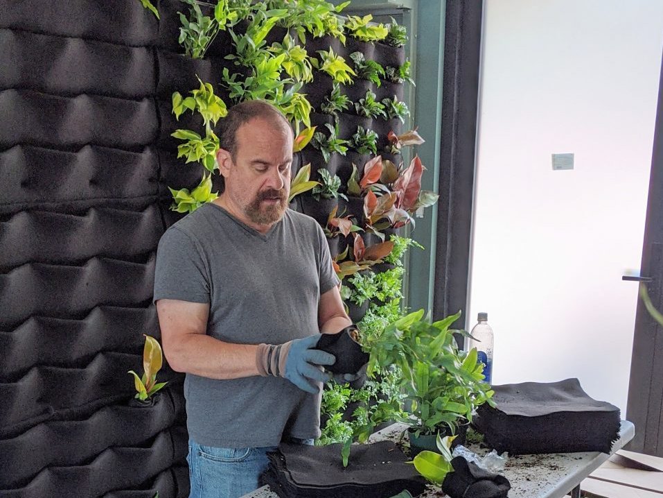 Florafelt Living Wall Systems