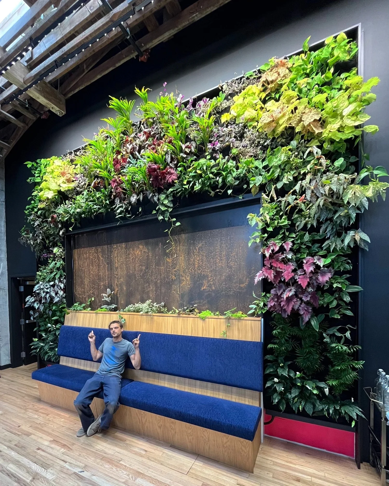Florafelt Living Wall Systems