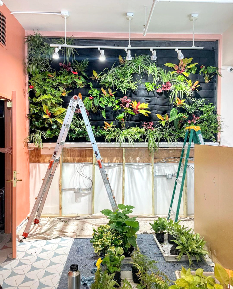 Design Ideas — Florafelt Living Wall Systems