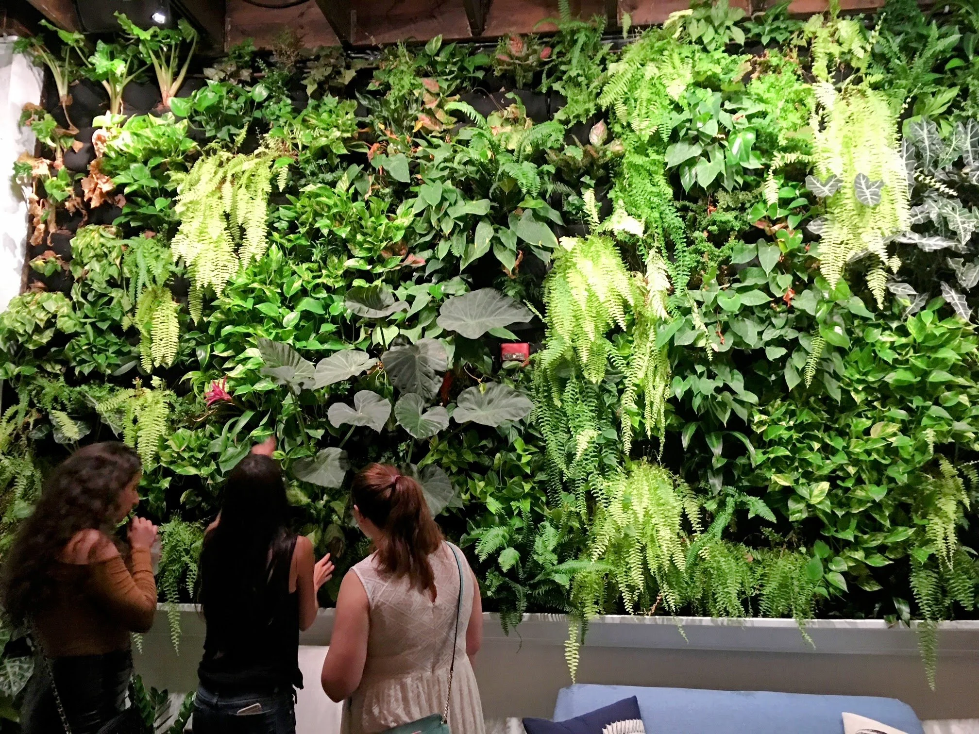 Design Ideas — Florafelt Living Wall Systems