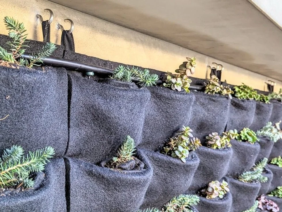 Florafelt Living Wall Systems