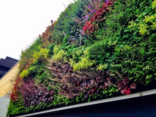 Florafelt Living Wall Guide — Florafelt Living Wall Systems