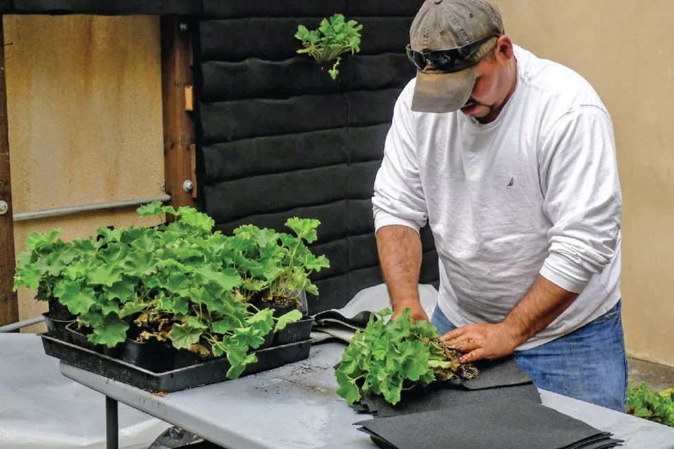 Florafelt Living Wall Systems