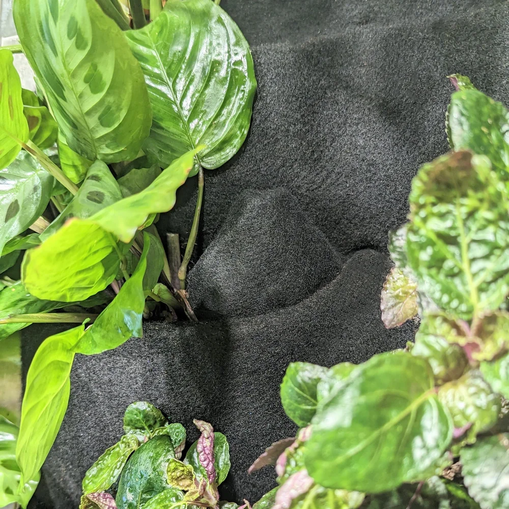 Moisture Sensor Setup Guide — Florafelt Living Wall Systems