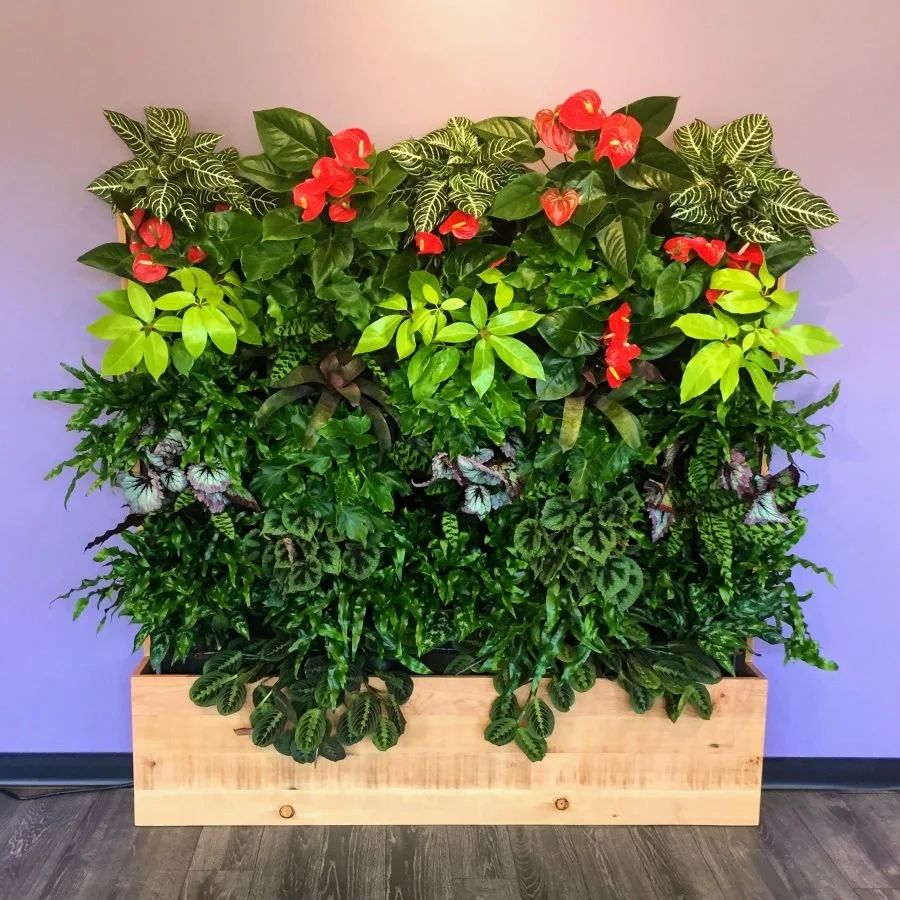 Indoor Living Wall Kits Do It Yourself Living Wall Planter Kit