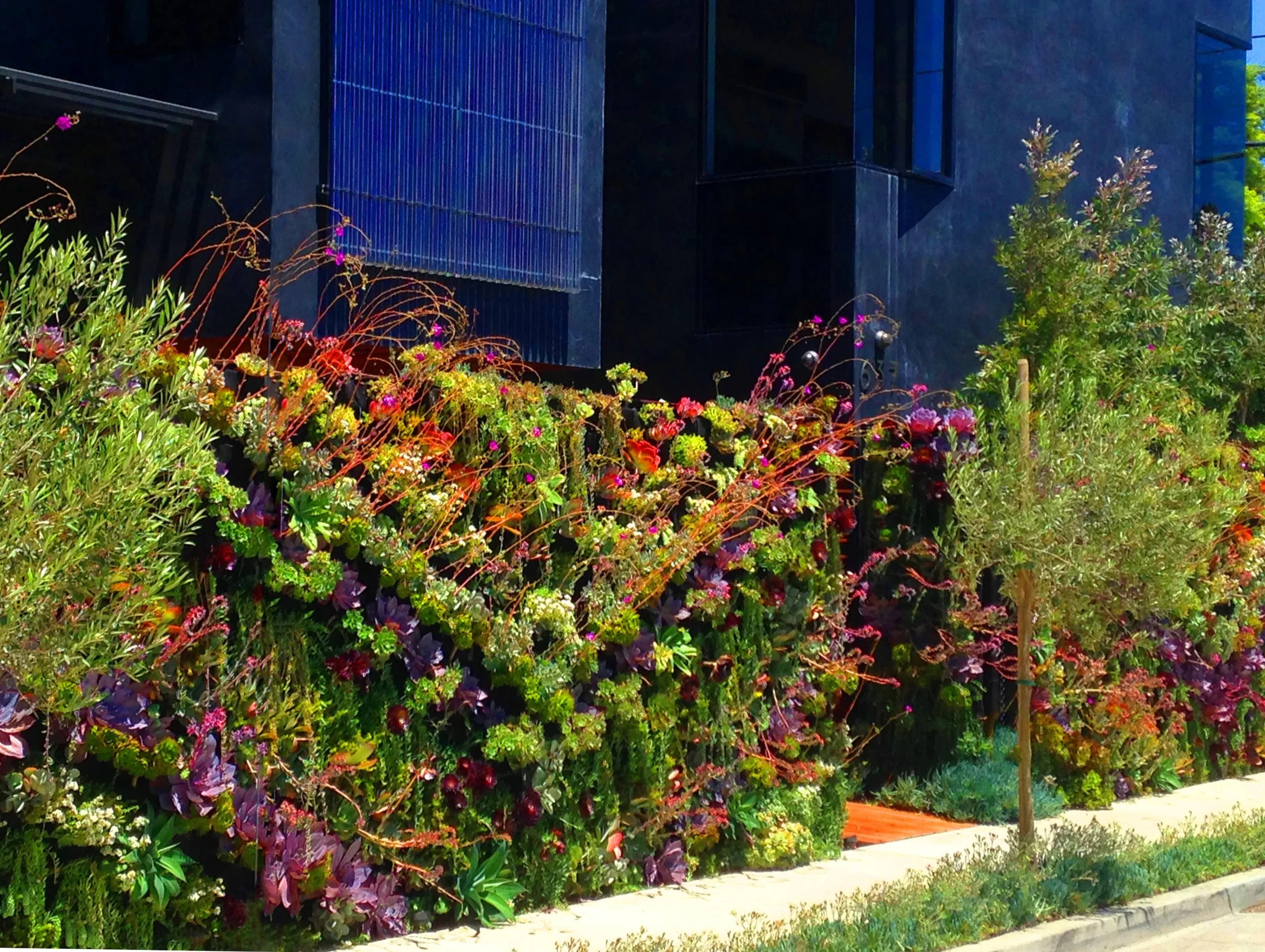 Florafelt Living Wall Systems