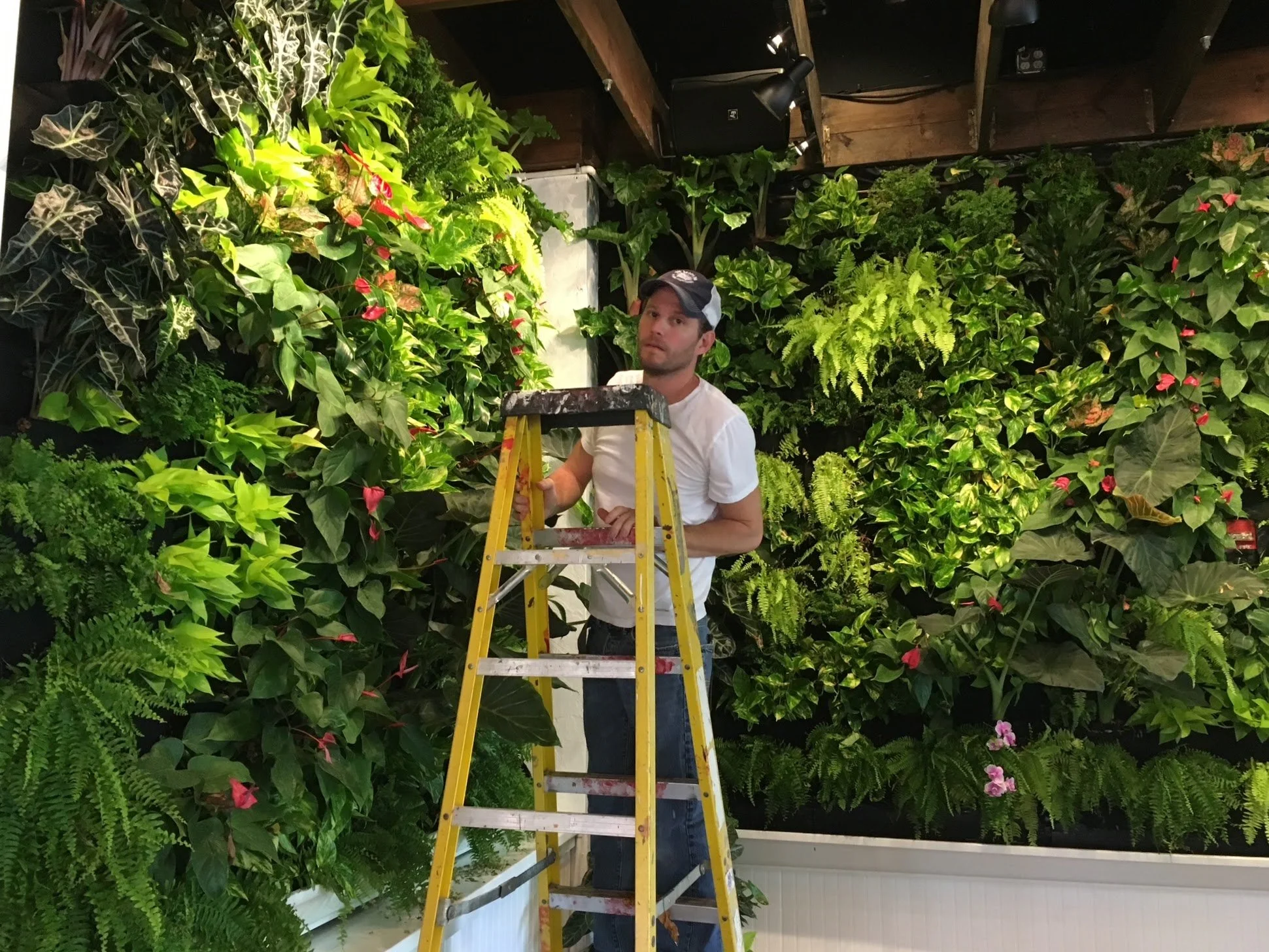 Design Ideas — Florafelt Living Wall Systems