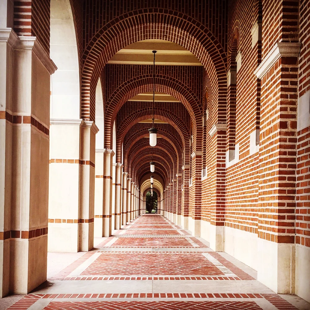 Rice University, a Place for Expression