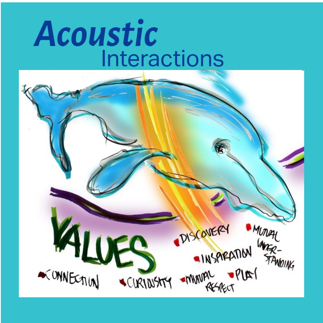 Acoustic Interactions